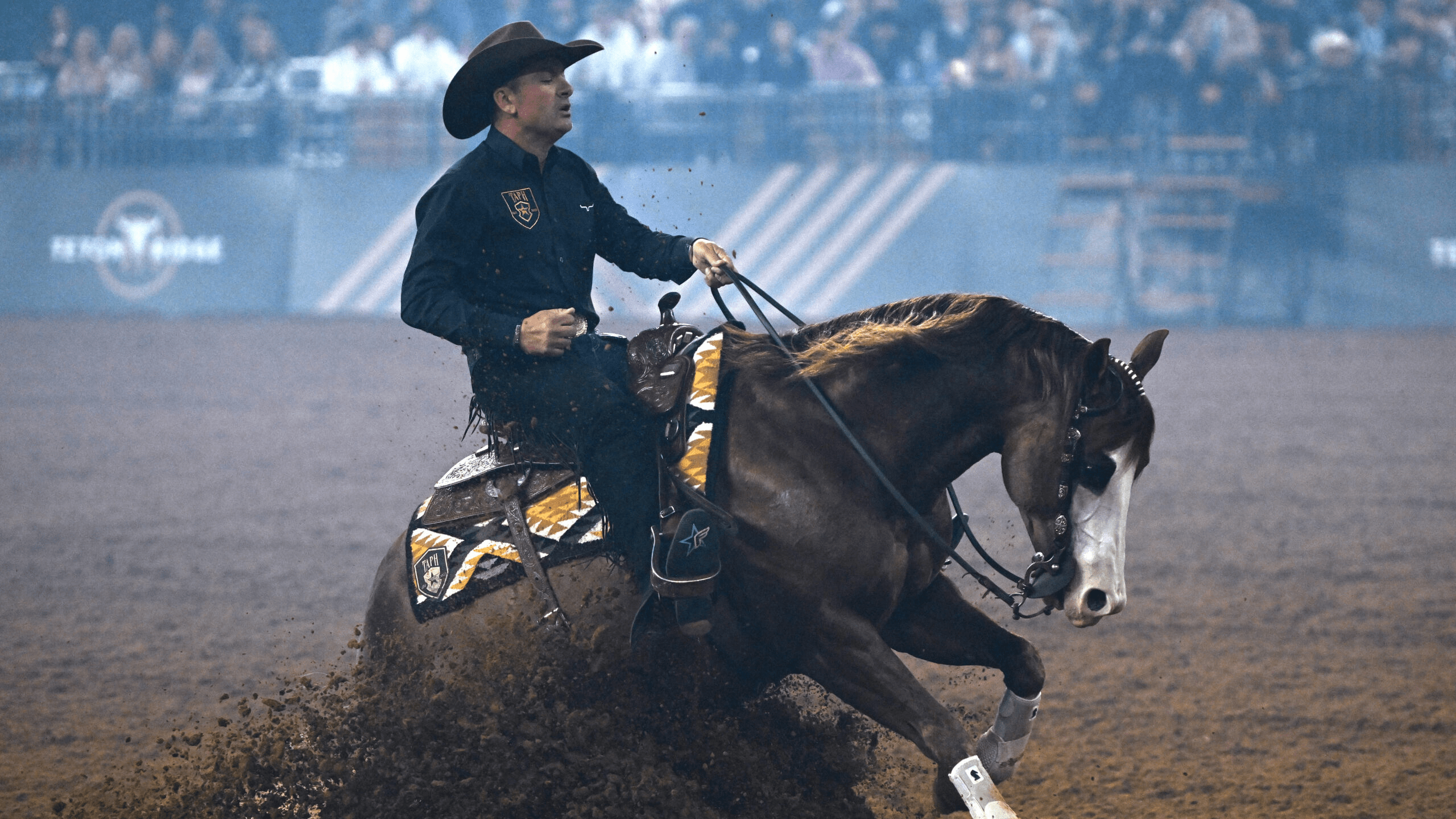 Top-Ranked Professionals in Cutting, Reining and Reined Cowhorse ...