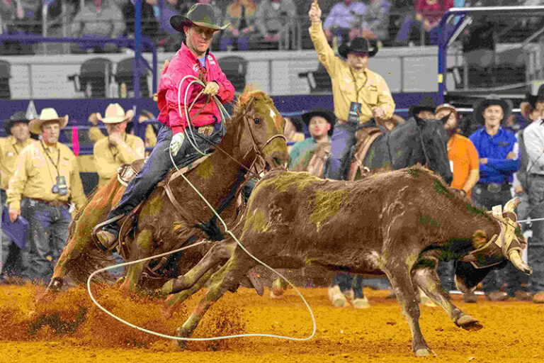 American Rodeo Champions